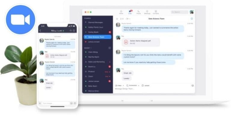 How to Share Pictures on Zoom Chat?