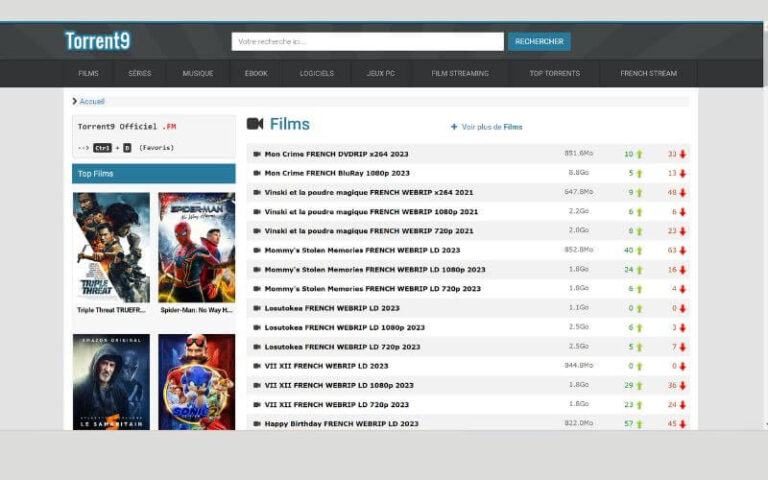 5 Best French Torrent Websites That Still Work in 2024